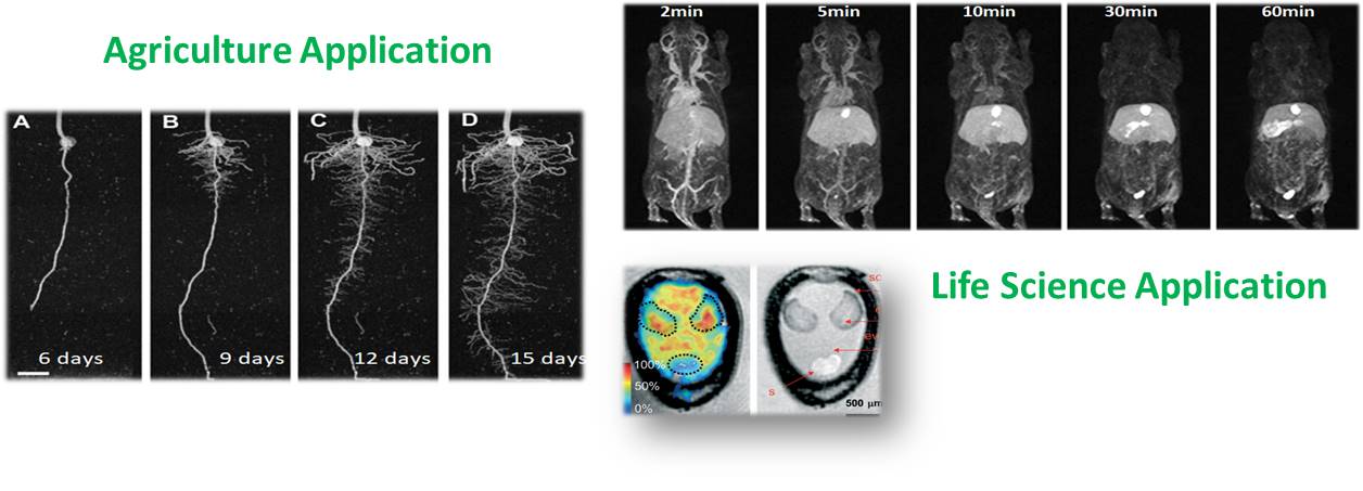 Spinsci@SG 1T preclinical MRI – A One-Stop Solution for Your Scientific ...